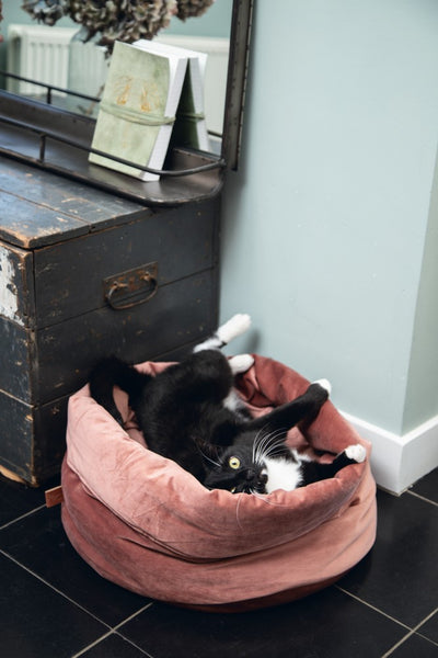 Designed By Lotte | Fluco Kattenmand - Roze - Pawlov